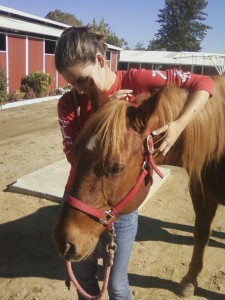 Red Bucket Equine Rescue # 137- Pilot | Red Bucket Equine Rescue