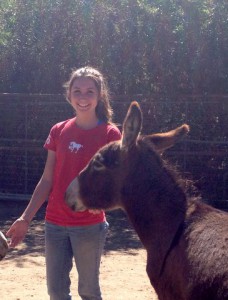 October 2013 Volunteer Highlight: Madison Heacock | Red Bucket Equine ...