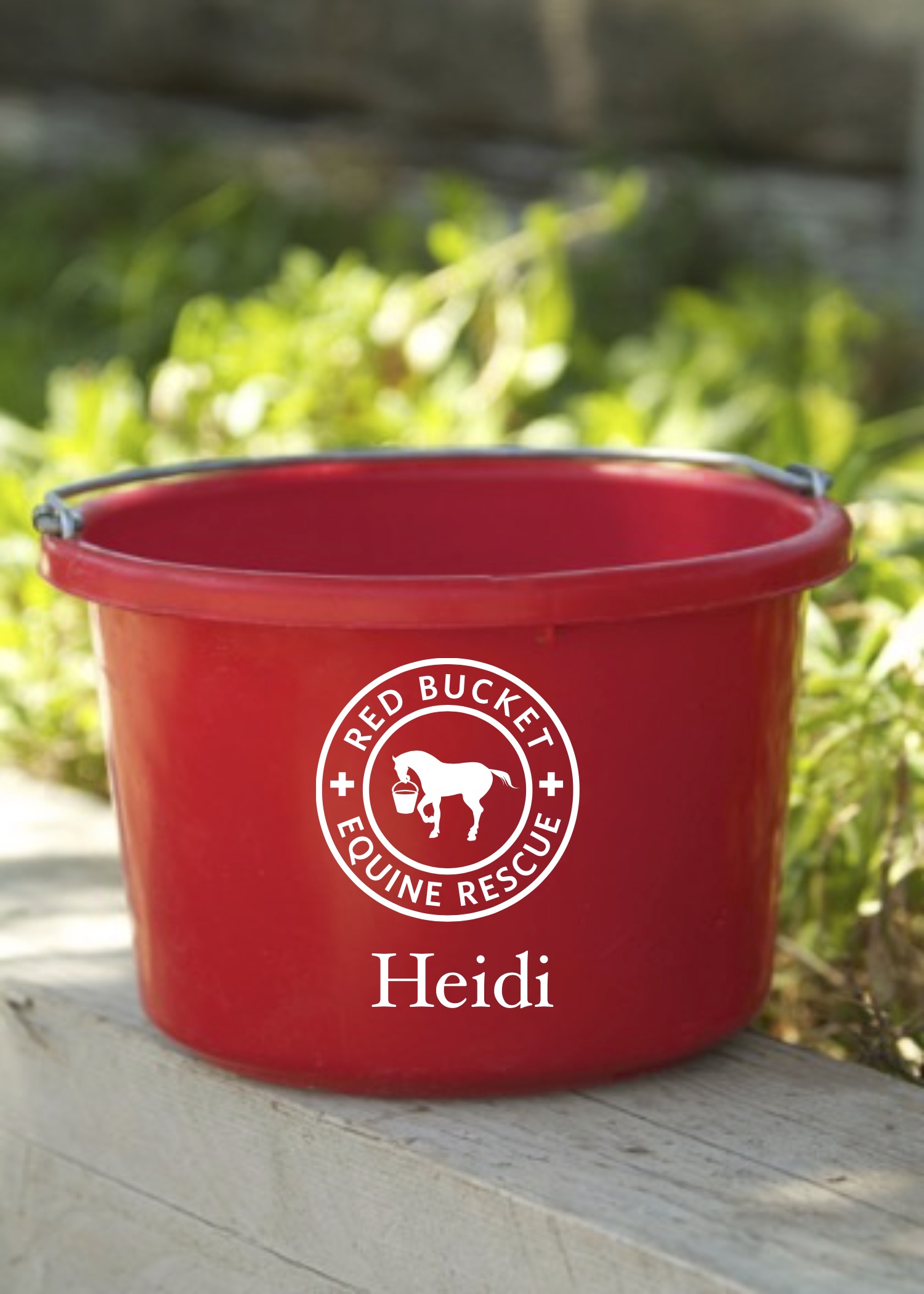 Heidi | Red Bucket Equine Rescue