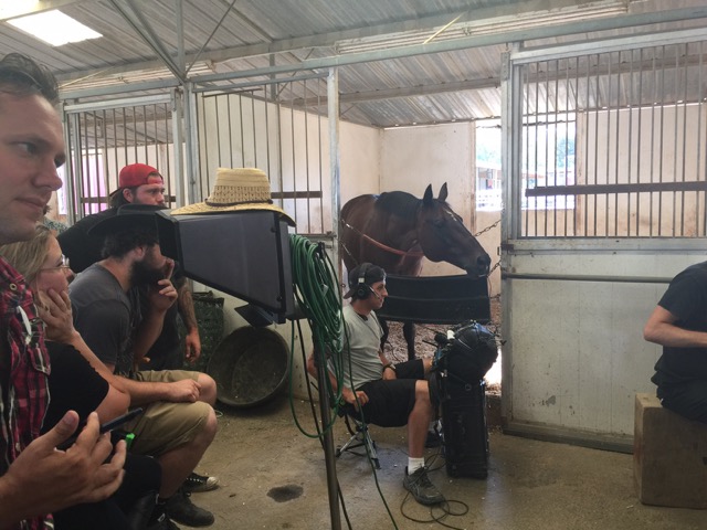 Emma’s Chance | Red Bucket Equine Rescue
