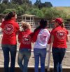Internships Available! | Red Bucket Equine Rescue