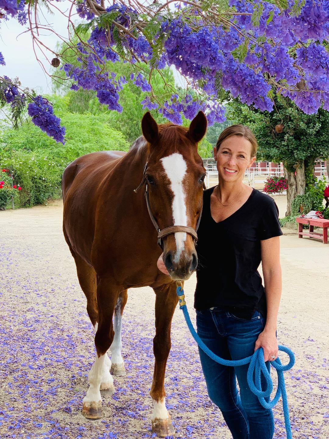 Adoption Stories | Red Bucket Equine Rescue