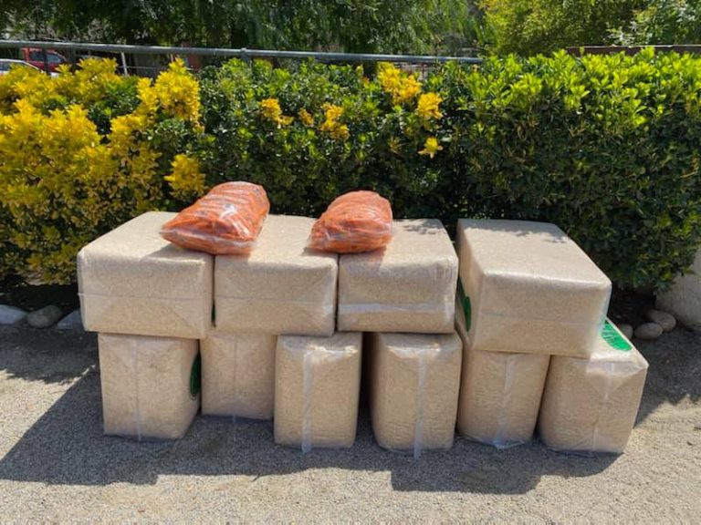 NEWS | Red Bucket Equine Rescue